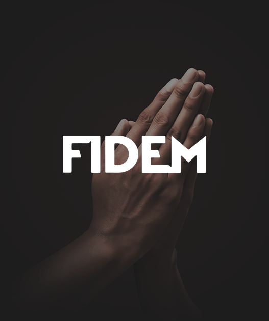 FIDEM Brasil - Devmaker - Business Driven Technology